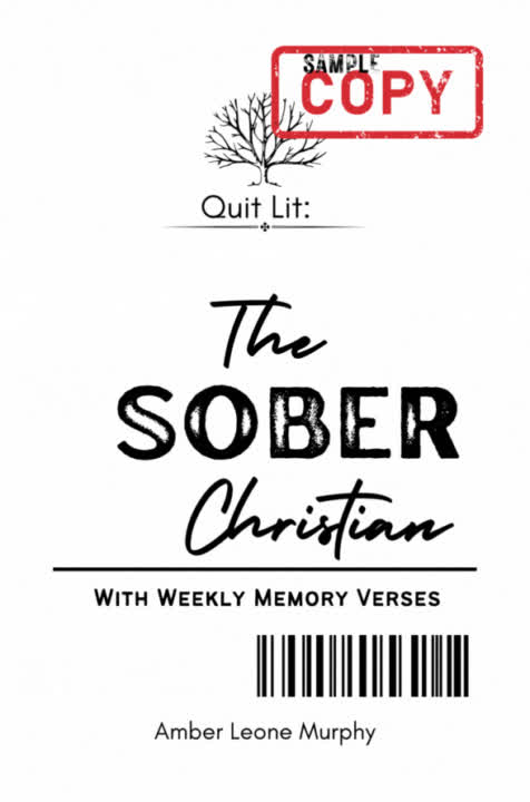 The Sober Christian Book by Amber Leone Murphy